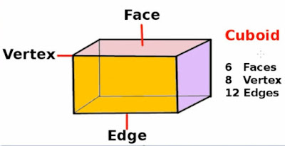 Basic Science Education: How Many Faces Does a Cuboid Have|How Many ...