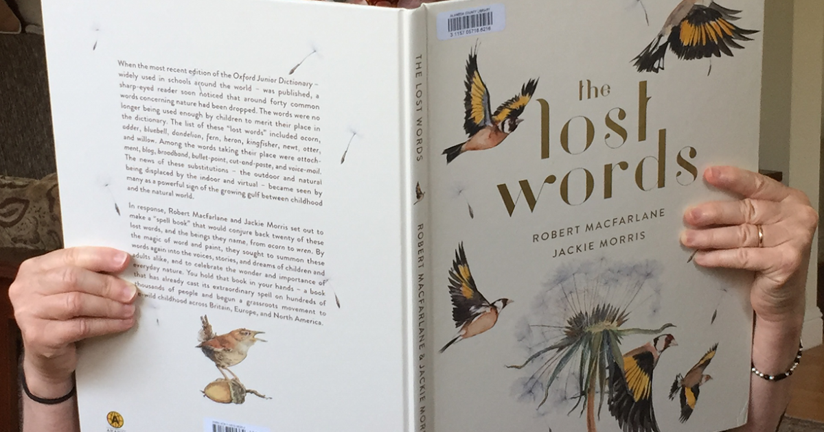 The Lost Words: A Spell Book by Macfarlane & Morris