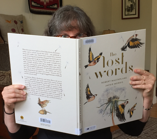 The Lost Words: A Spell Book by Macfarlane & Morris