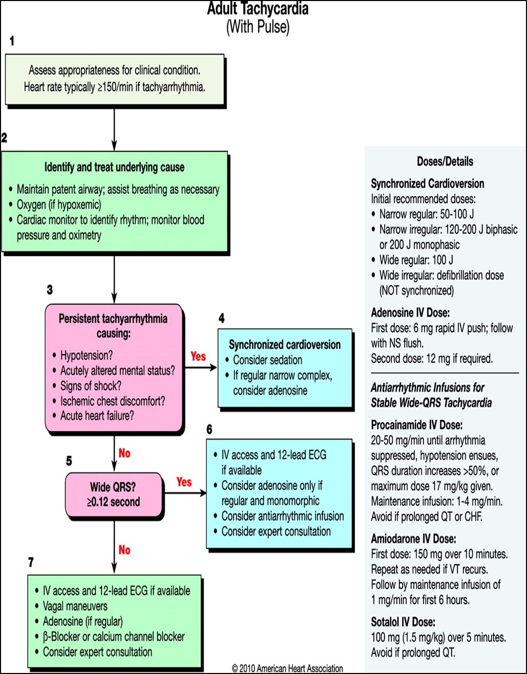 A & E Nurse's and Medic's View: BLS/ECC/ACLS Providers Updates (2010 ...