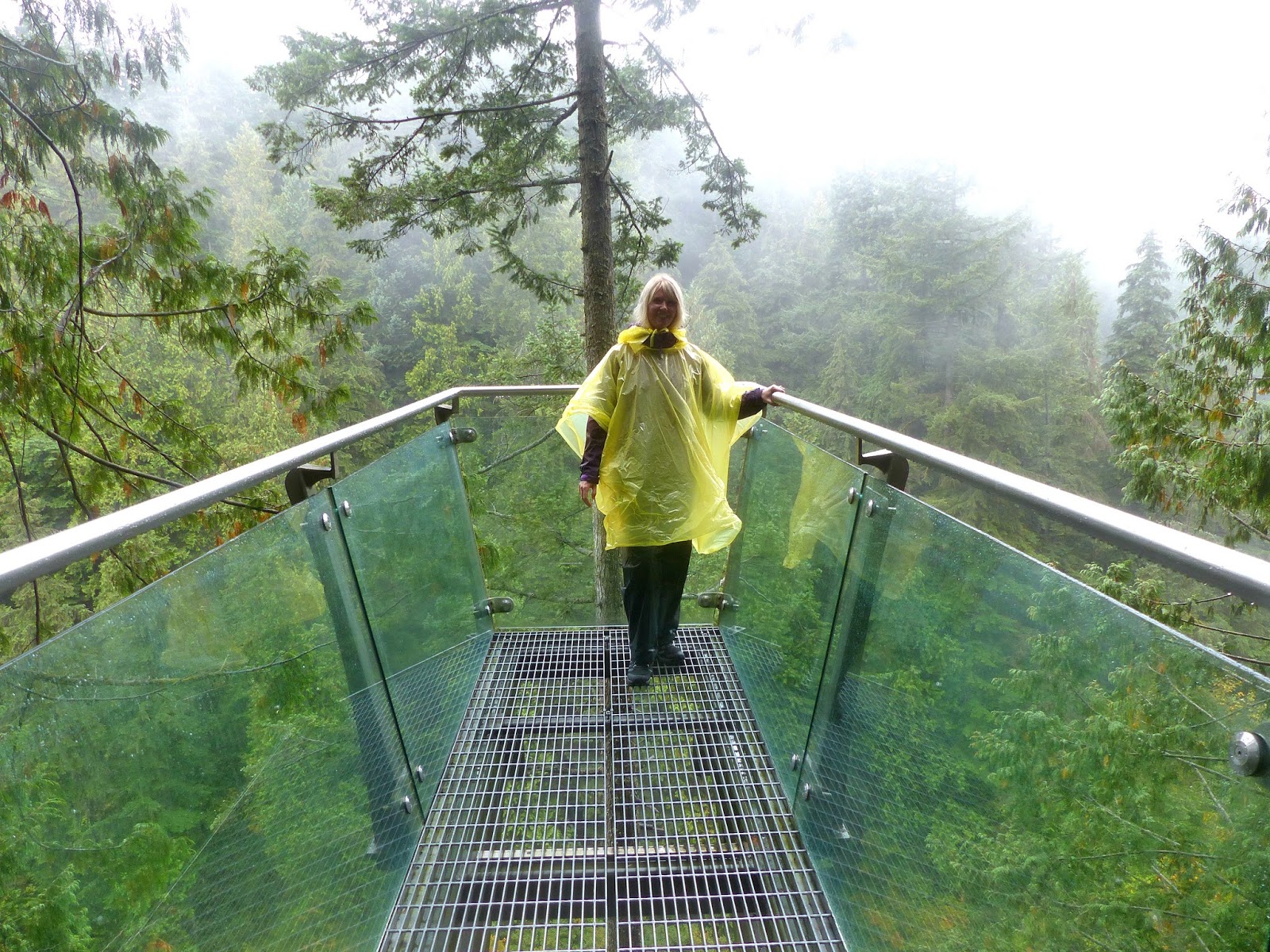 What to expect at Capilano Suspension Bridge - Vancouver - The ...