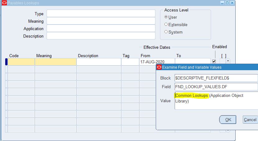 Oracle Application's Blog: How to enable dff in lookup