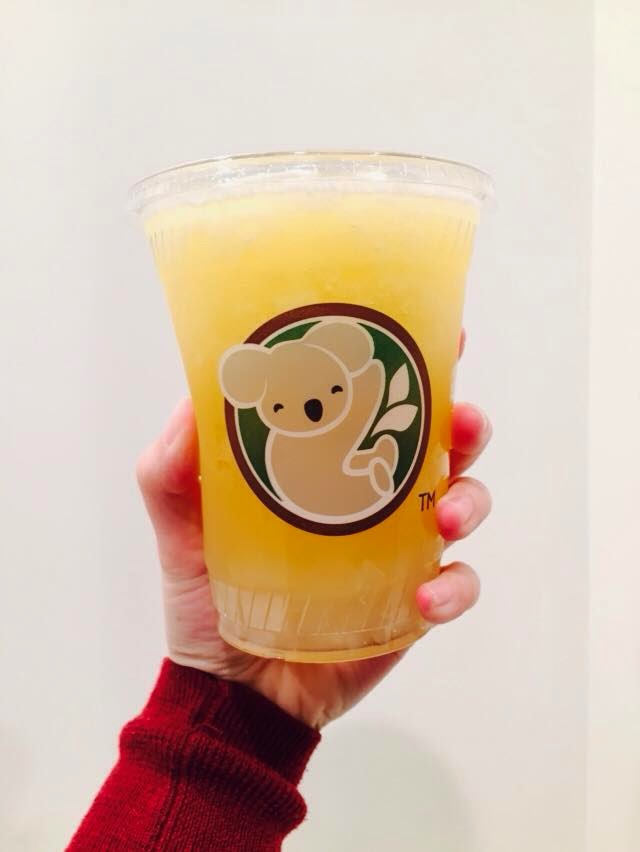 KOALA-T BOBA AND SNACKS EVERY BRUIN NEEDS TO TRY @ KOALA TAPIOCA ...