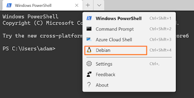 The Ultimate Terminal For Windows, Couples Things To Begin With