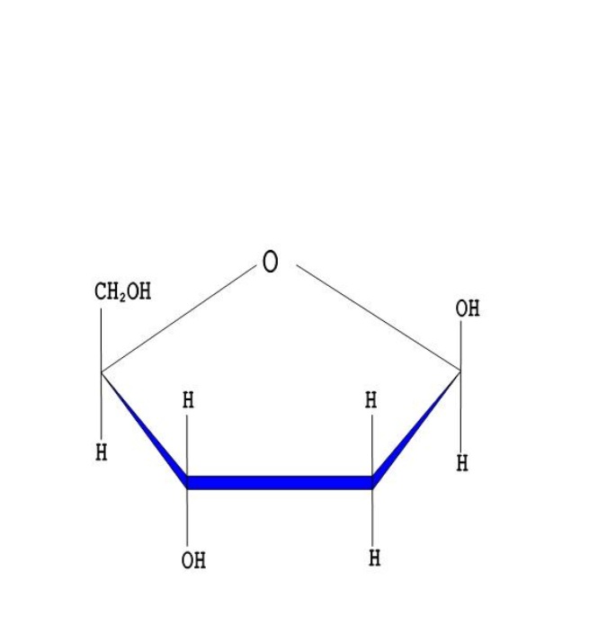 BIOLOGÍA 1Bachillerato OJA