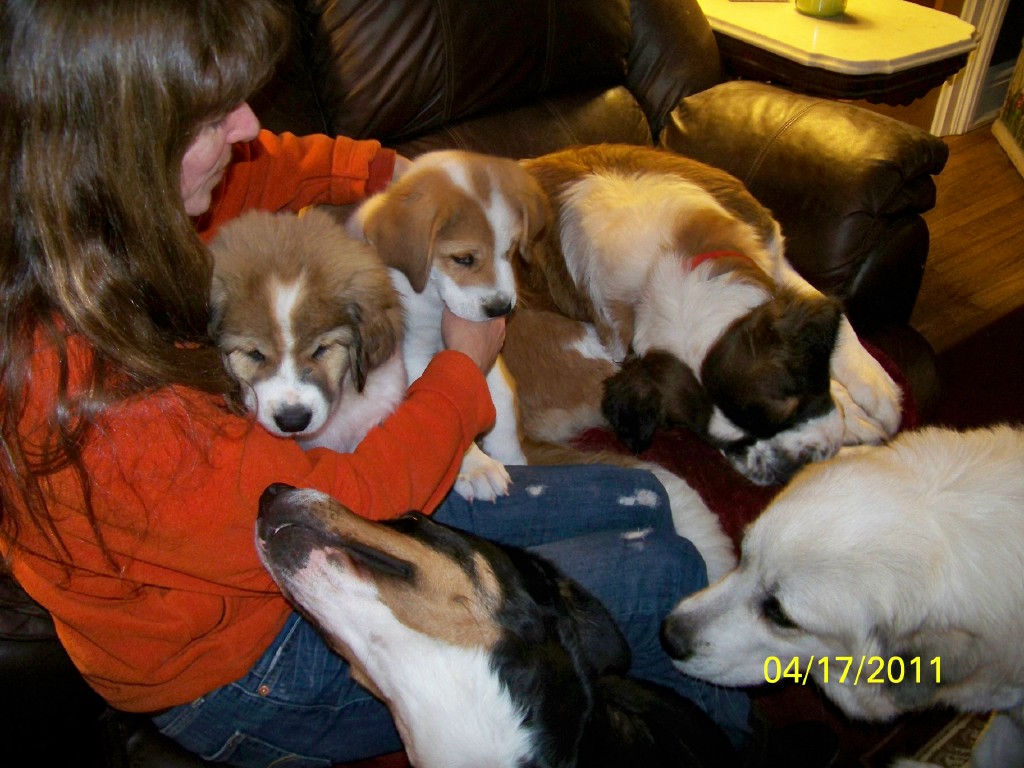 A Swissneese in San Francisco: Hello there