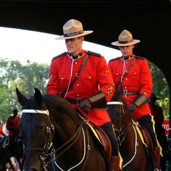 Favorite Hunks & Other Things: Mounted