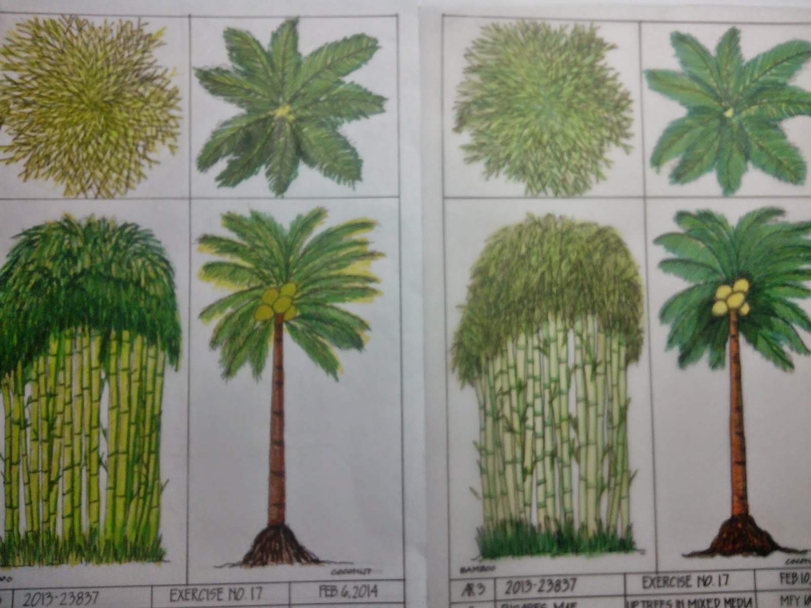 The Journey of an Aspiring Architect: Rendering Trees Using Markers