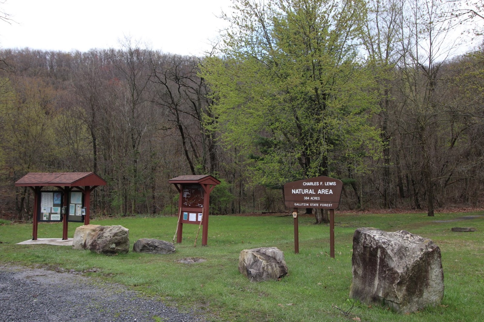 Gallitzin State Forest Recreation Guide: Awesome Hiking, Views, and ...