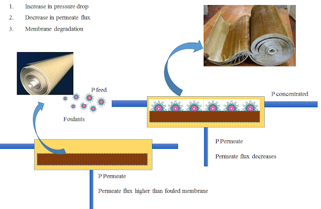 Water Science & Technology: Basic concepts of membrane filtration ...