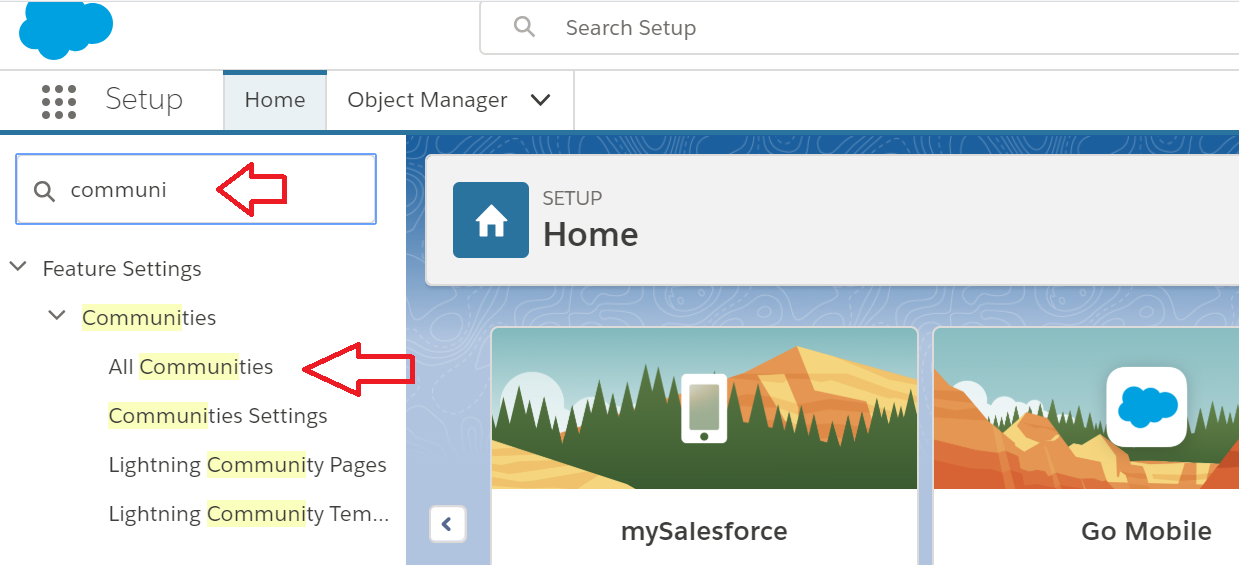 How To Display Sobject Record List And Its Details In Community Pages Of Salesforce Crm