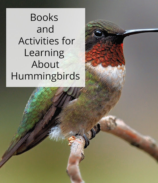 100 Days of Science #79-- Learning About Hummingbirds