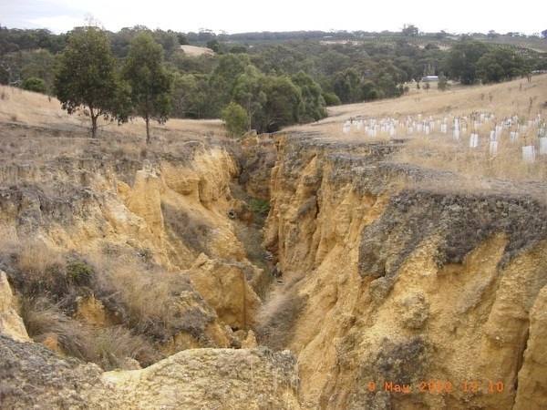 Pengertian Erosi Adalah : Jenis-Jenis, Proses-Proses Terjadinya ...