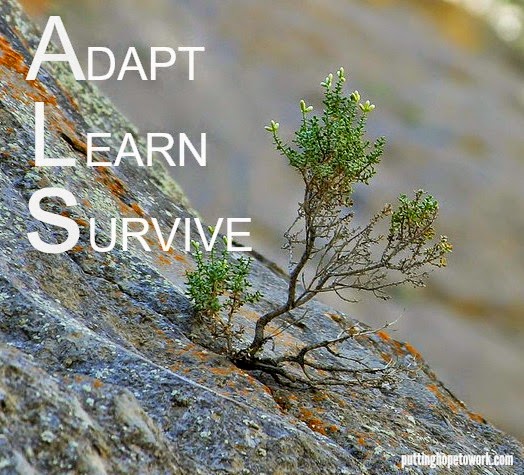 ALS and Wellness Blog: Adapt, Learn, Survive (ALS Stress Management Tips)