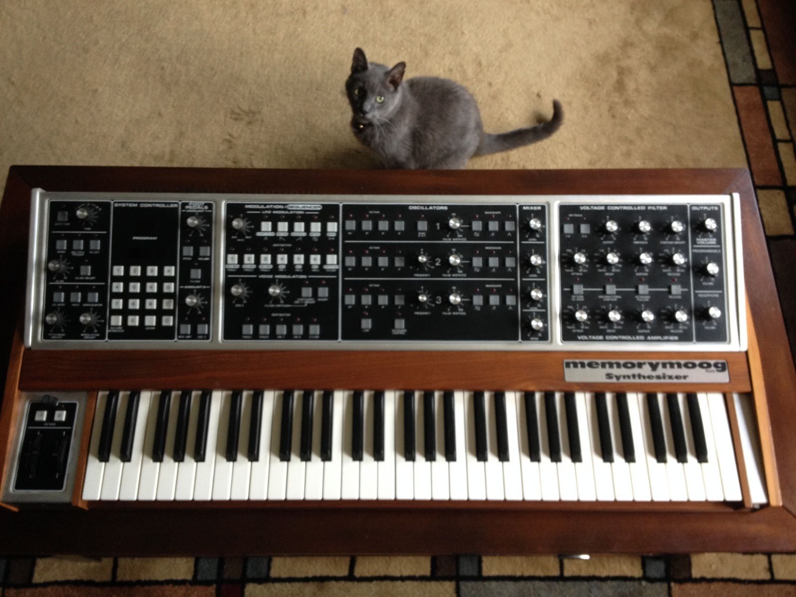 MATRIXSYNTH: Vintage Moog Memorymoog Plus Synthesizer