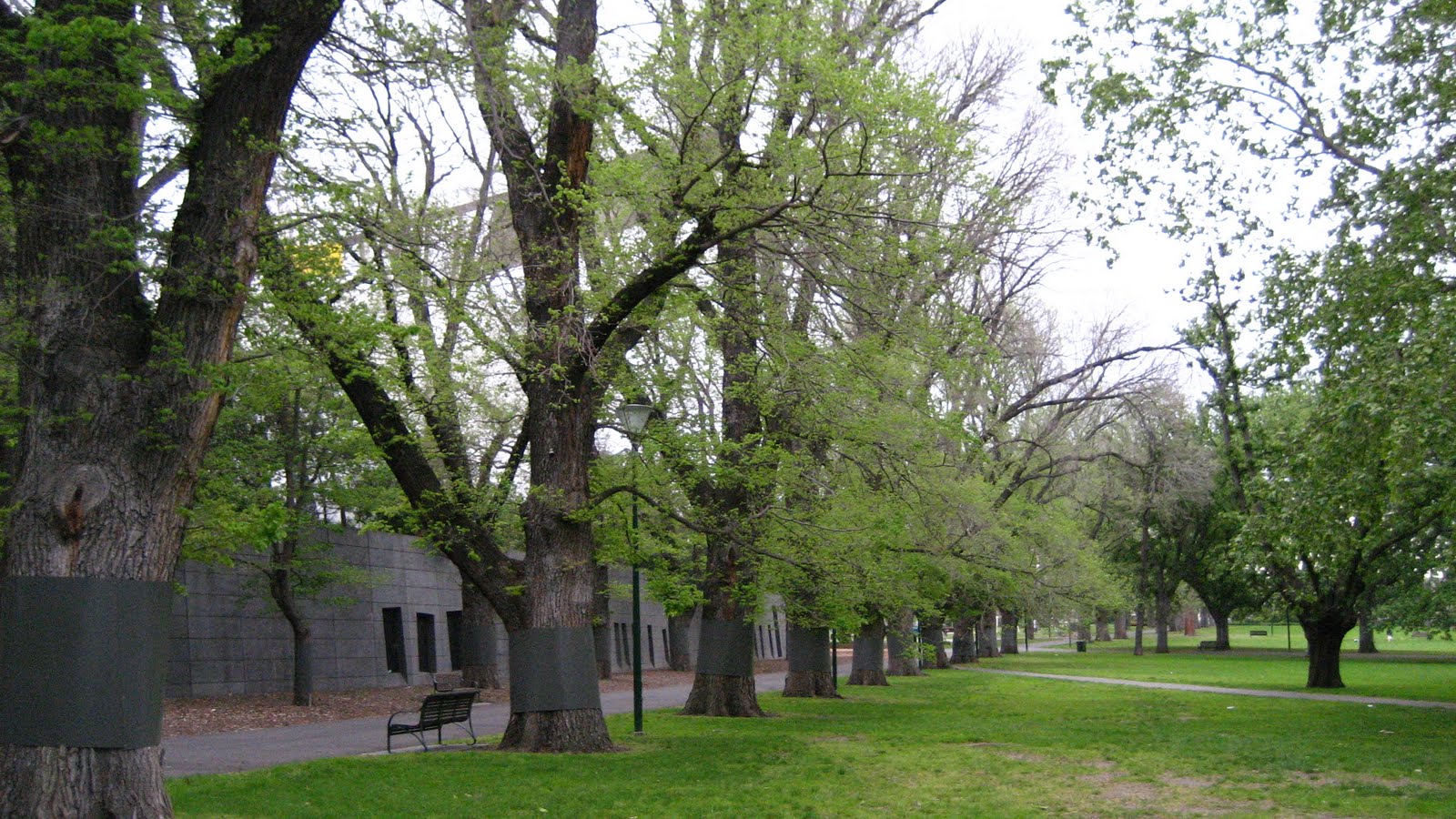 our monumental monkey house