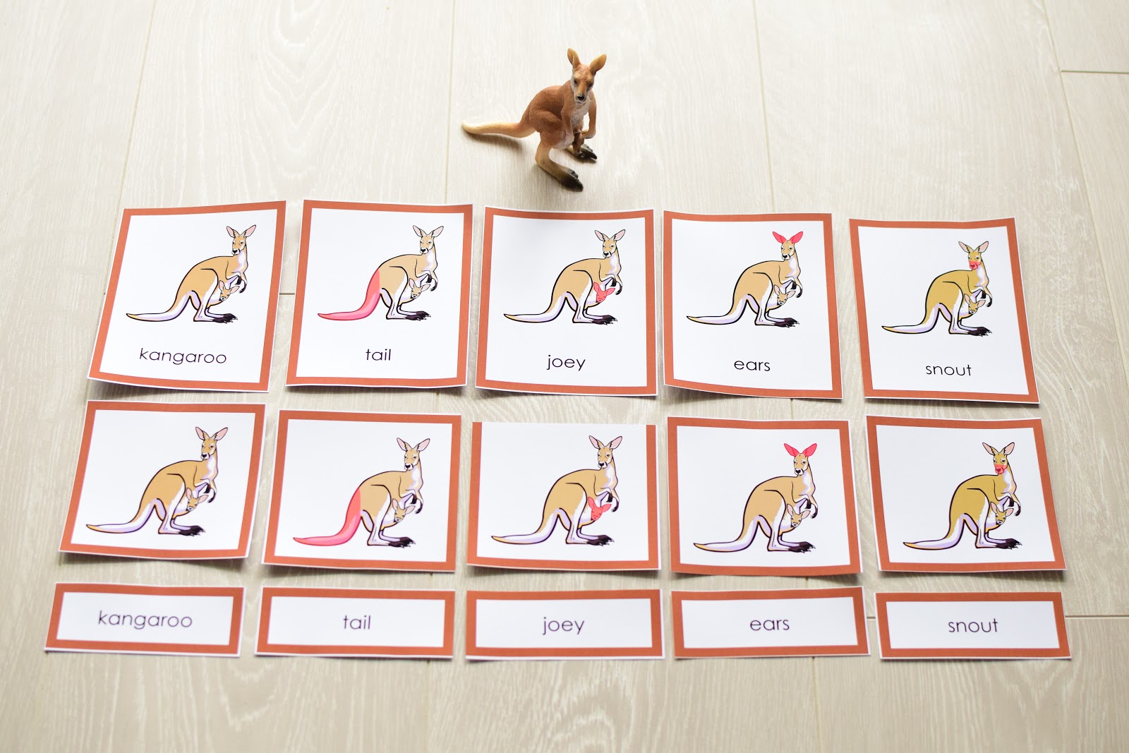 Oceania/Australia in a Nutshell - New Edition | The Pinay Homeschooler