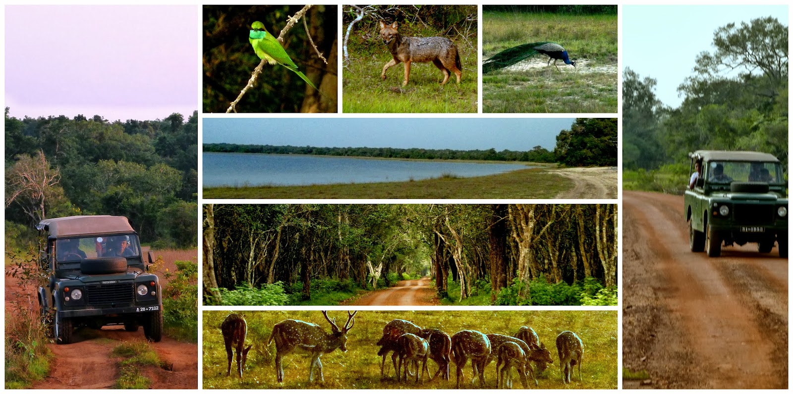 Wilpaththu National Park Map