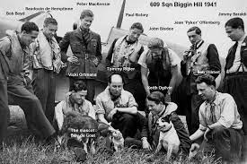 HISTORIAS DE LA AVIACIÓN: ASES DE LA AVIACIÓN BELGA DE LA II GUERRA ...