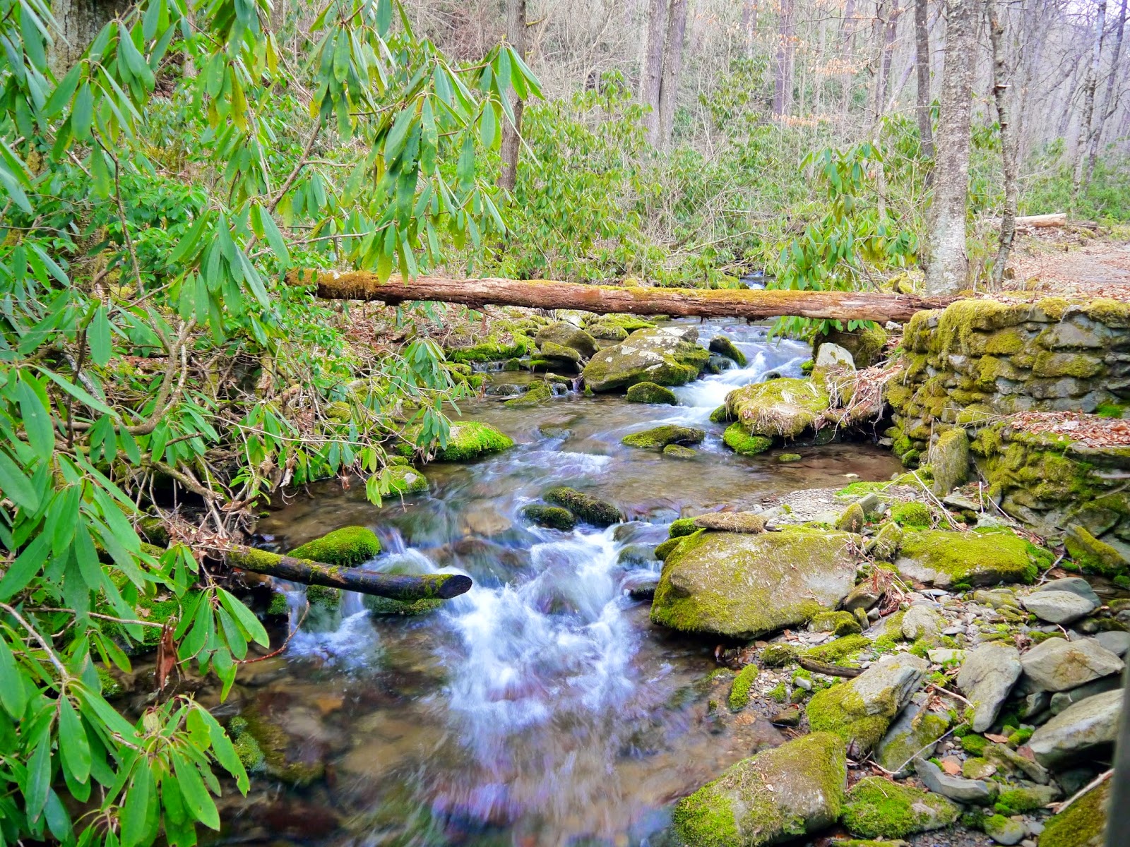 American Travel Journal: Little Cataloochee Church - Great Smoky ...