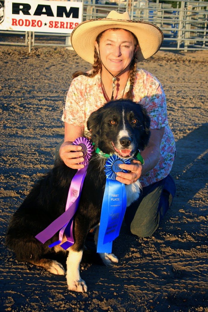 Powell's K9 Productions Visual Blog