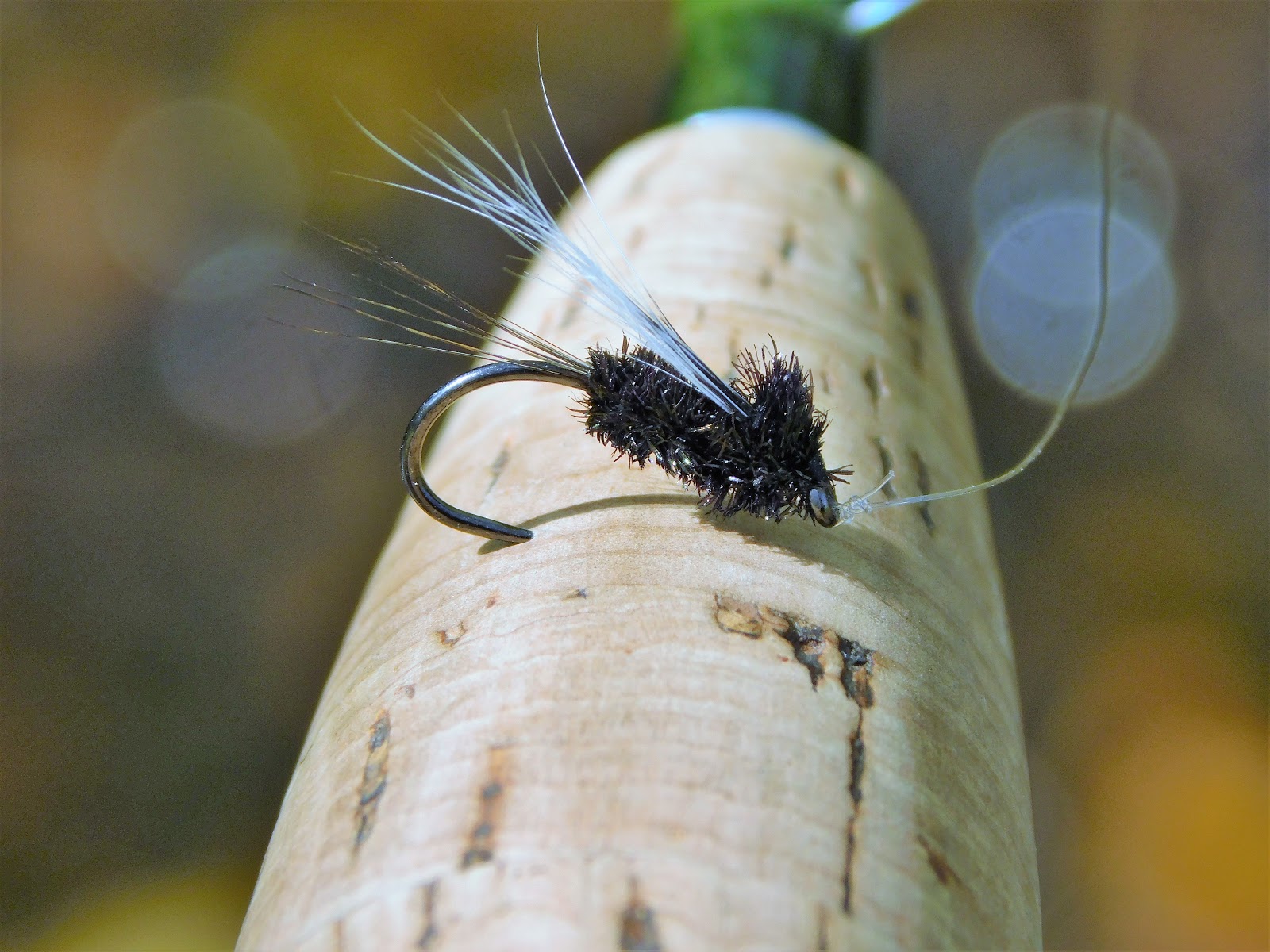 Small Stream Reflections: Picket Pin Variant And A Brook Trout