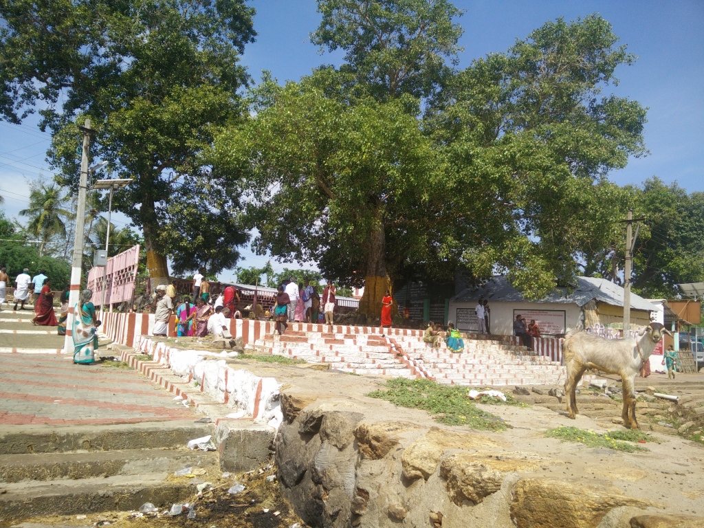 Tamilnadu Tourism: Mahudeshwarar Temple, Kodumudi – The Temple