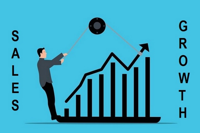 Pengertian Sales Growth dan Cara Menghitungnya | Pengadaan (Eprocurement)