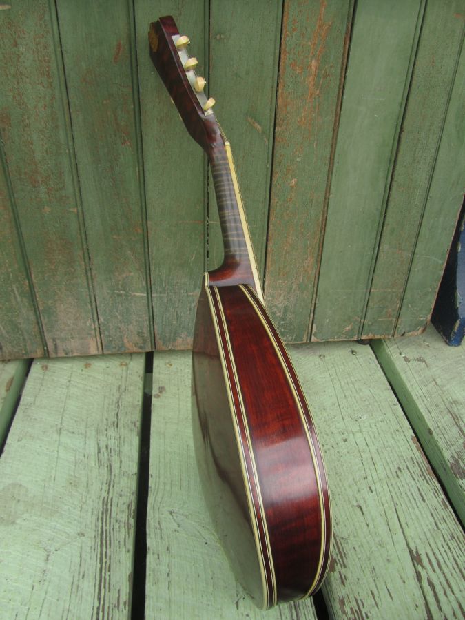 c.1915 Weymann Style 50 Mandolute Mandolin