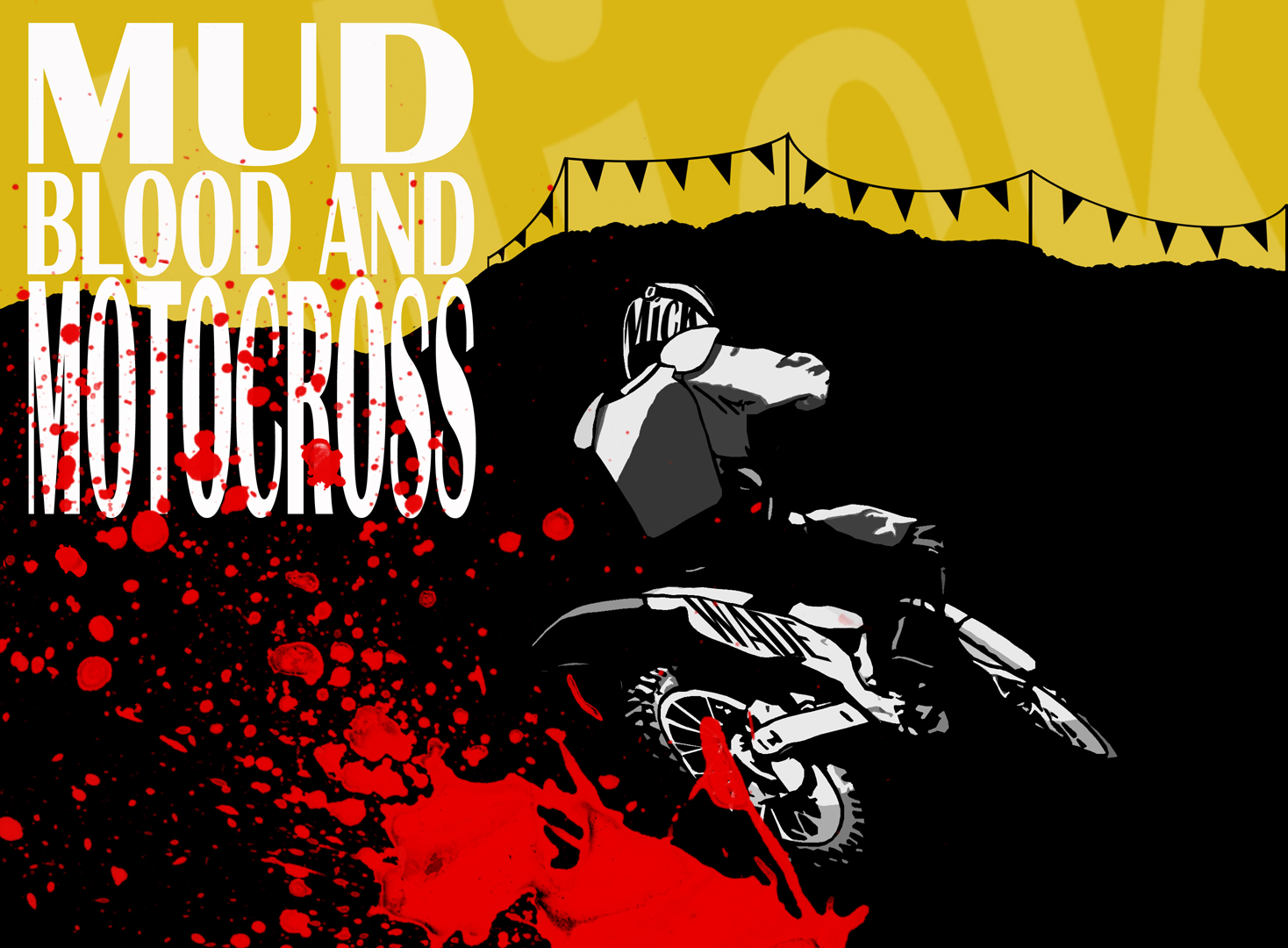 Mick Wade: February 2012