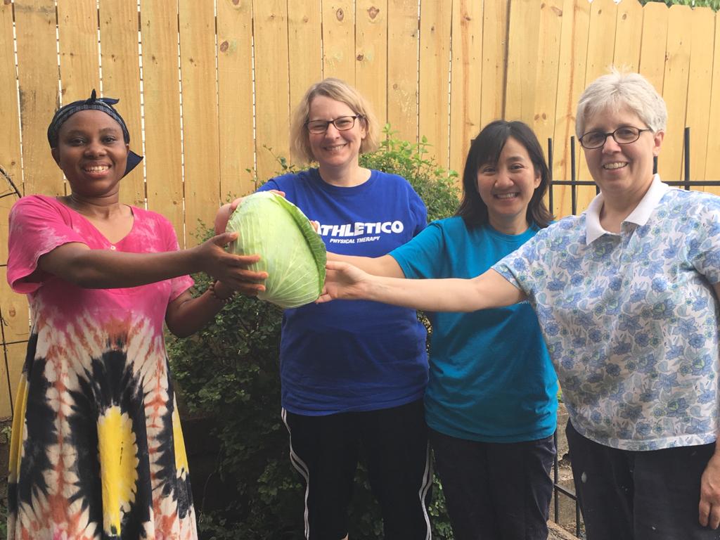 Collaborative Dominican Novitiate: 2019