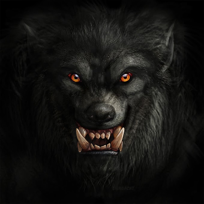 WHERE DID THE MYTH OF THE WEREWOLF COME FROM?