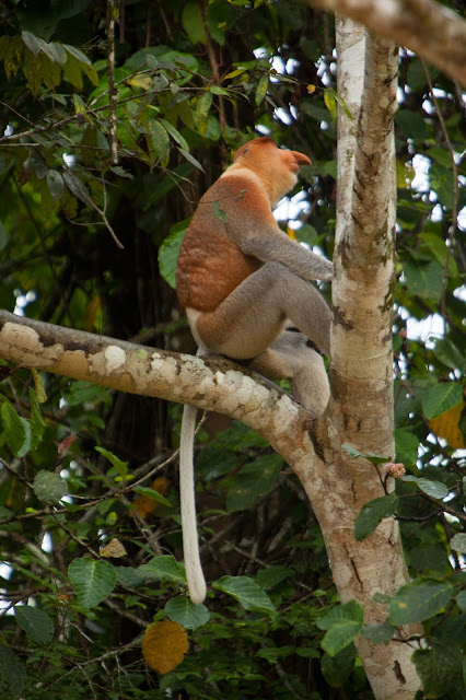 Sticky Rice Travel - Photostream