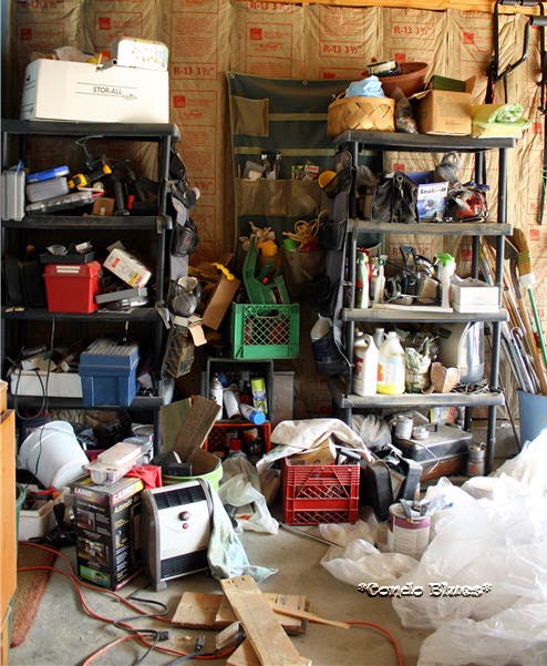 Condo Blues: 6 Smart Strategies to Organize a Garage and Workshop