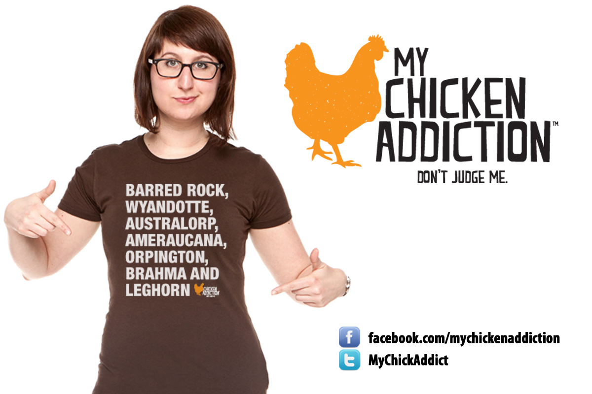 Unexpected Daisies: My Chicken Addiction