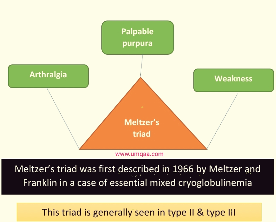 What is cryoglobulinaemia?
