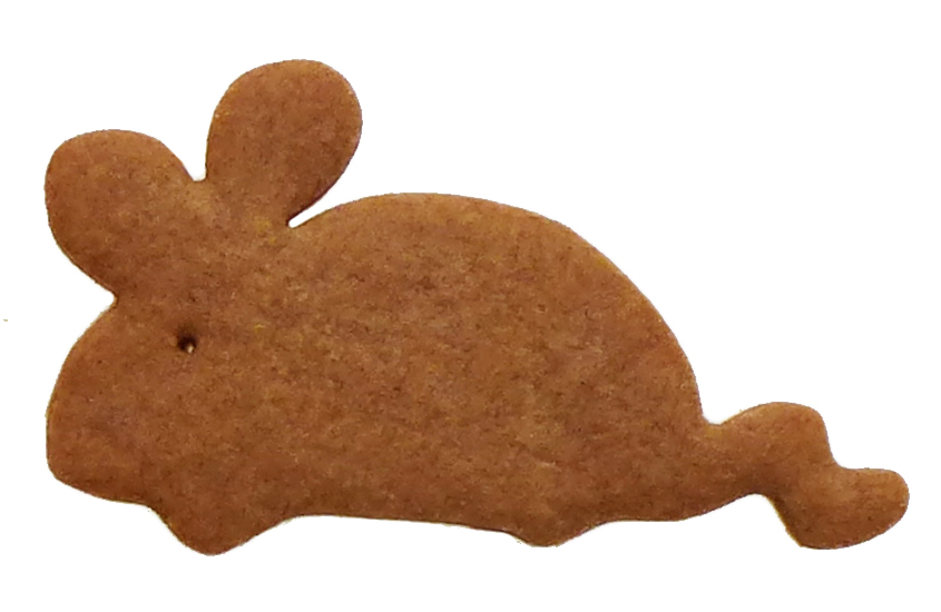 THE GINGER COOKIE: RETURN OF THE POGEN