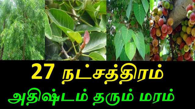 27 Nakshatra Trees | 27 நட்சத்திர விருட்சங்கள்