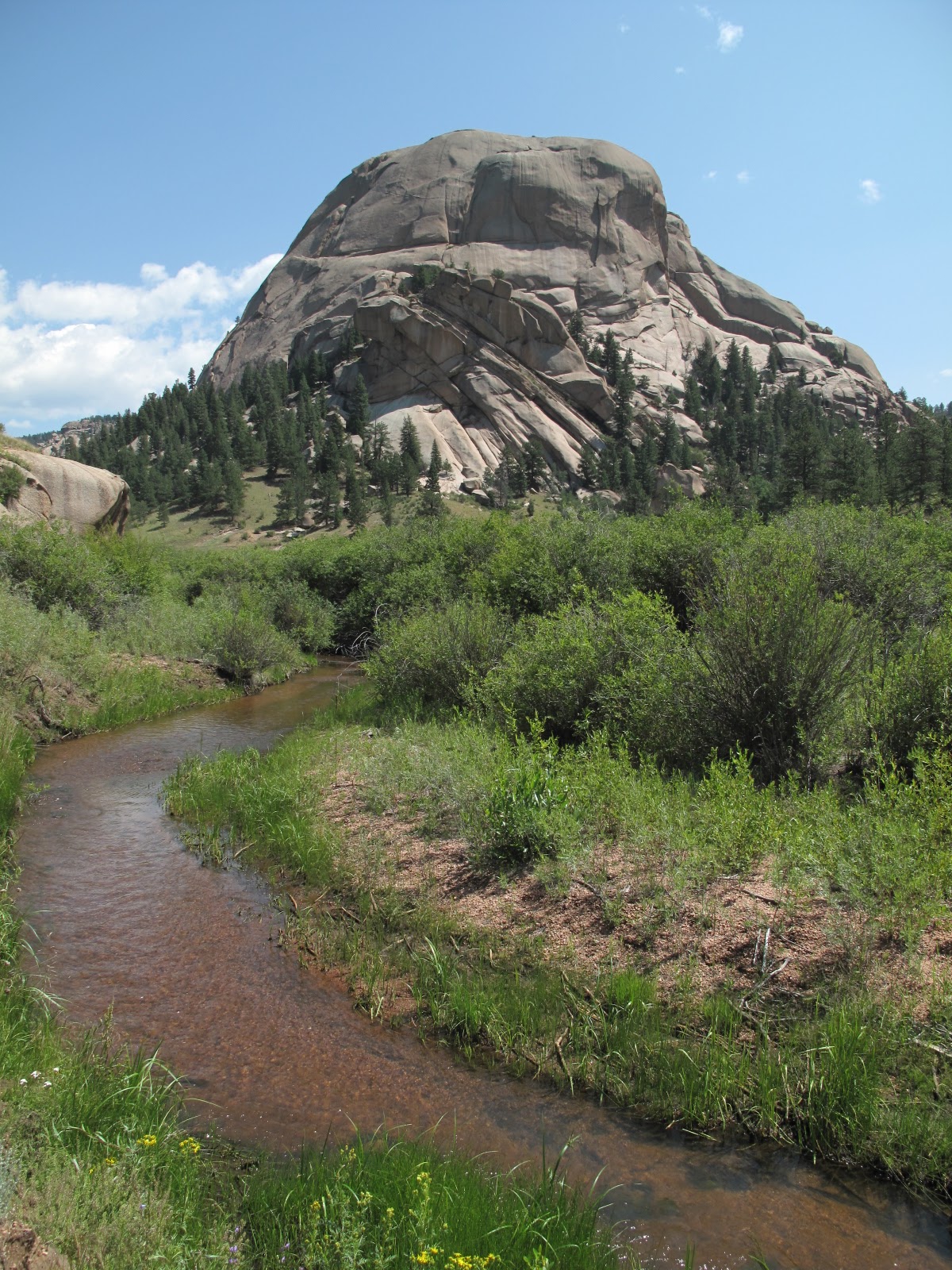 TOM MOSHER PHOTOGRAPHY