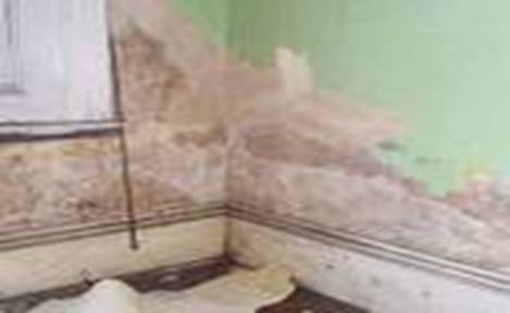 Construction Updates: DAMP-PROOFING IN RESIDENTIAL BUILDING