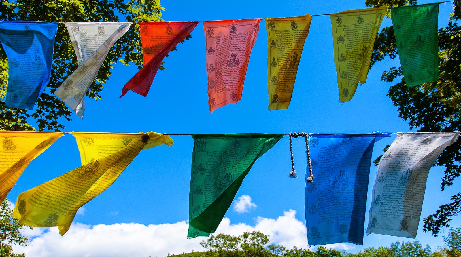 India Untravelled: 10 Days of Silence and Unexpected Cultural Lessons ...