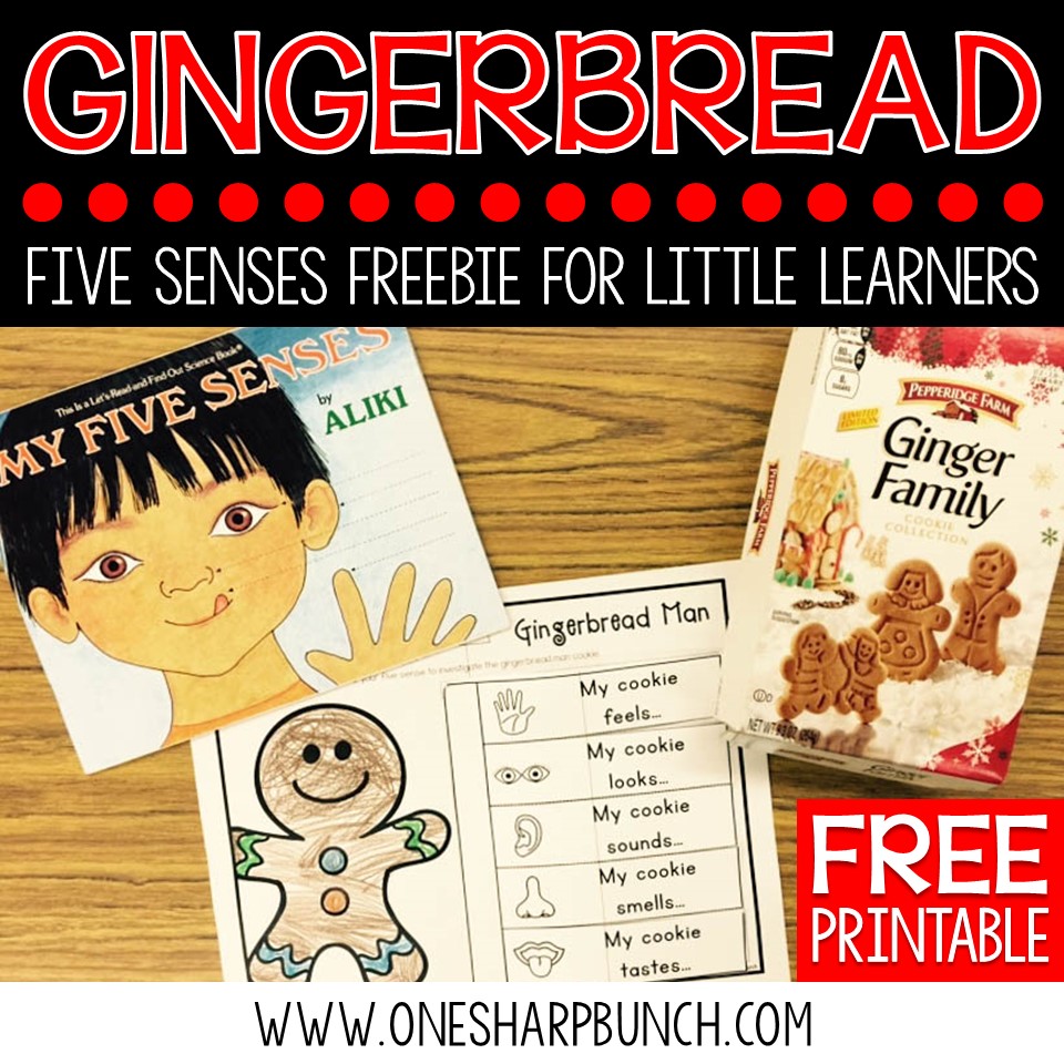Gingerbread Five Senses FREEBIE - One Sharp Bunch