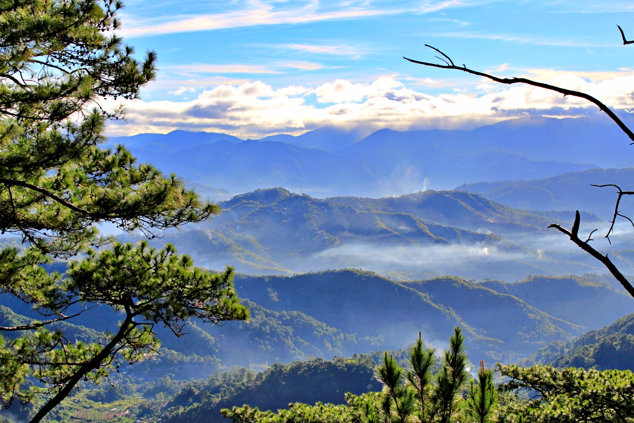 Following the Yellow Trail at Camp John Hay | Baguio - Nomadic Experiences