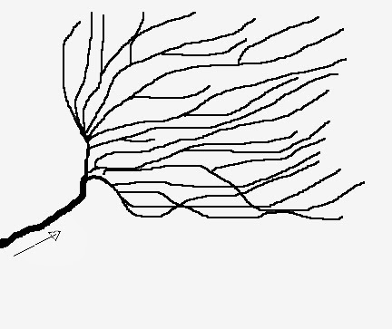 HIDROGRAFÍA: CUENCAS HIDROGRAFICAS