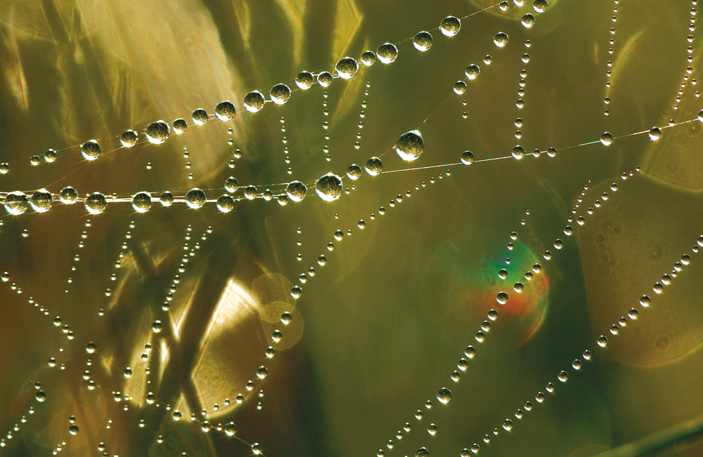 Bryan Peterson assina guia de fotografia para iniciantes ~ Resumo ...