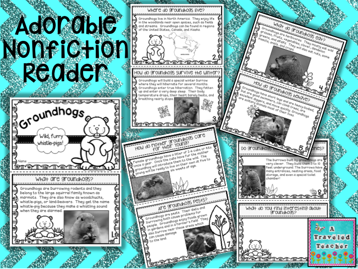 A Traveled Teacher: Groundhogs Nonfiction Unit