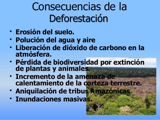 wattsay black: LA DEFORESTACION... MATA EL PLANETA?