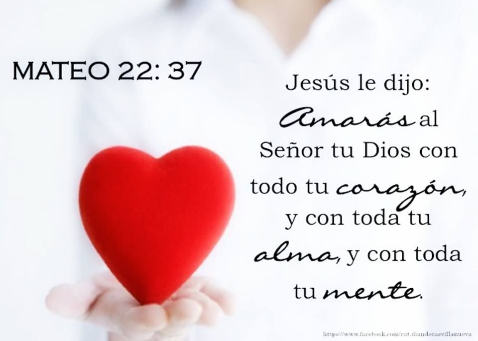 Devocional Diario. Reflexiones para vos: Devocional Diario. Reflexiones para vos: