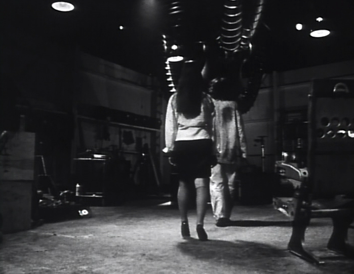 House of Self-Indulgence: Rubber's Lover (Shozin Fukui, 1996)