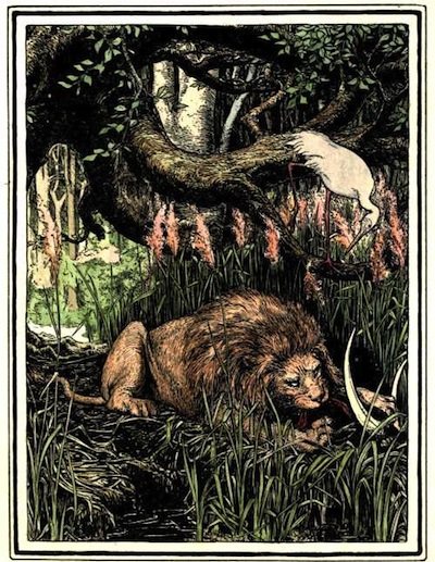 Mythology and Folklore UN-Textbook: Indian Fairy Tales: The Lion and ...